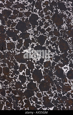 Cross section of a Stony-iron meteorite. The Field Museum, Chicago ...