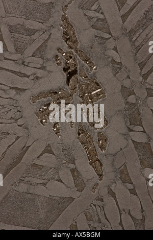 Seymchan Meteorite Cross-section - St Petersburg Paleontological Lab ...