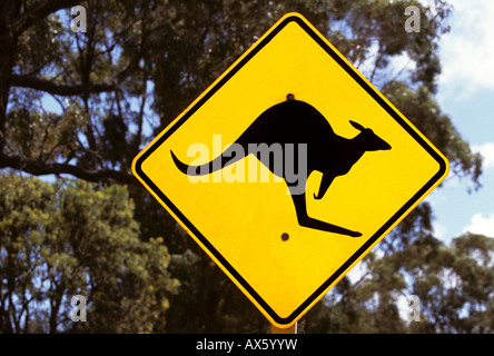 kangaroo traffic sign, Australia Stock Photo: 76183034 - Alamy