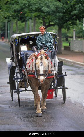 A horse drawn carriage carries visitors on a tour of the historic ...