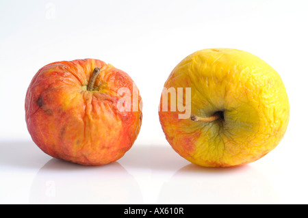 old apples dried still life Stock Photo - Alamy