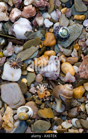 Seashore on stone beach. Close up view Stock Photo - Alamy