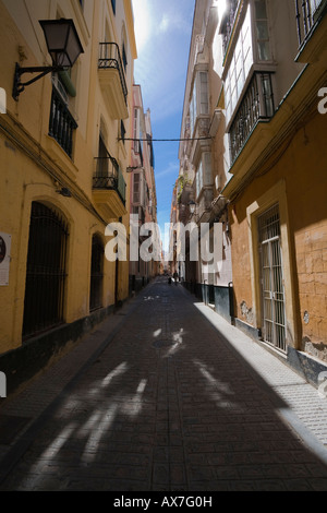 Typical traditional Spanish cobbled back street / streets / road ...