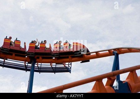 Scorpion Roller Coaster at Busch Gardens Tampa Florida USA Stock Photo ...