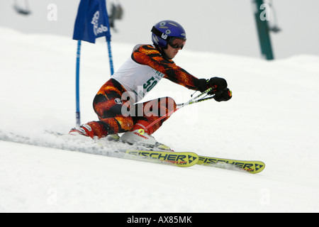 Alpine skier passing a gate during a giant slalom race Stock Photo - Alamy