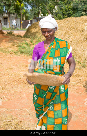 Lady sifting husks from rice and happy children, in a village Tamil ...