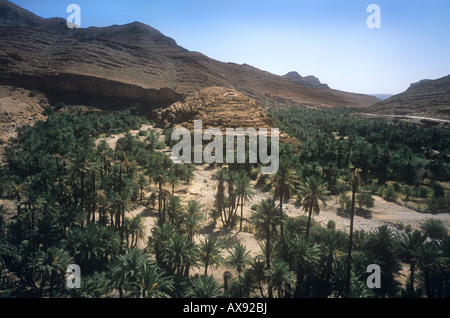 Afella Ighir Oasis in the Ait Mansour Gorges, near Tafraoute, Southern ...