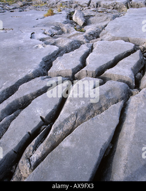Limestone pavement at the Burren, County Clare, Ireland Stock Photo - Alamy