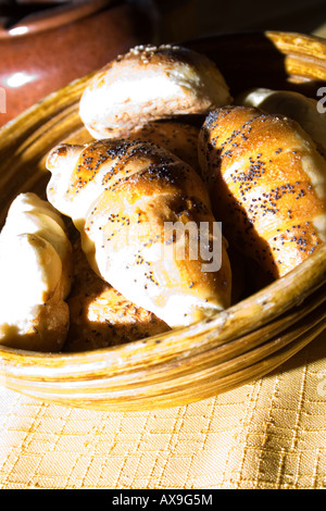 detailed close up of Golden brown broomrape (Orobanche Stock Photo - Alamy