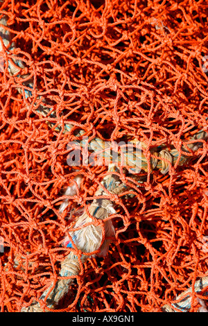 to be deleted please do not use Stock Photo - Alamy