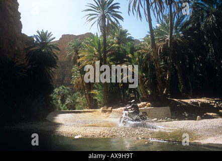 Afella Ighir Oasis in the Ait Mansour Gorges, Anti Atlas, Tafraoute ...
