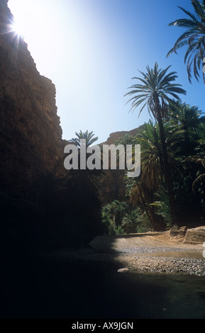 Afella Ighir Oasis, Ait Mansour Gorges, south of Tafraoute, Southern ...