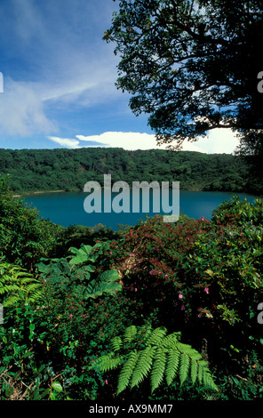 Poas Volcano NP, Costa Rica - April 3, 2017: Closeup of Lonicera ...