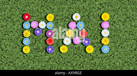 month may Mai written with flower heads Stock Photo - Alamy