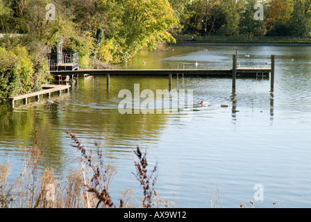 Highgate Mens Bathing Pond, Hampstead Heath, NW3, London, United Stock ...