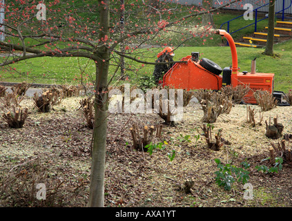 Tree shredding machine Stock Photo: 43153980 - Alamy