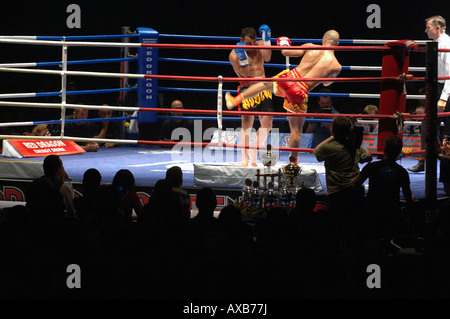 K1 fighters in a ring Stock Photo - Alamy
