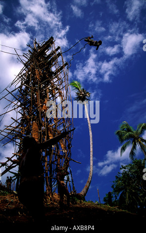 Local man bungee jumping from a platform, ritual, Vanuatu, Polynesia ...