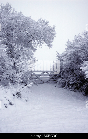 Snow scene at Bodmin Cornwall Stock Photo - Alamy
