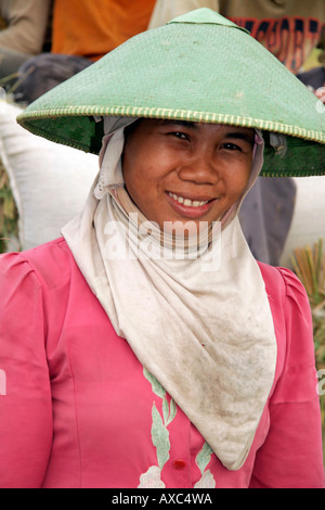Worker rice paddy Tegal Java Indonesia Stock Photo - Alamy