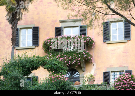 Frances Mayes house Girasole Cortona Tuscany Italy Stock Photo - Alamy
