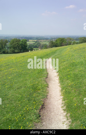 the chilterns views from ridgeway footpath beacon hill Stock Photo - Alamy