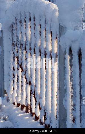 WINTER FROST ON GARDEN GATE Stock Photo - Alamy