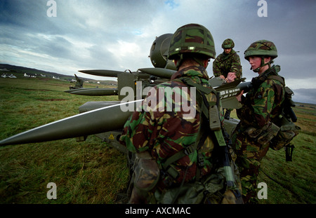 RAF Regiment Gunners from 16 Squadron RAF carrying out loading drills ...