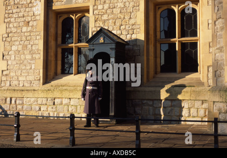 British soldier standing sentry in a trench, WW1 Stock Photo - Alamy