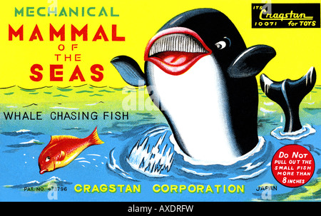 Mammal of the Seas: Whale Chasing Fish Stock Photo - Alamy