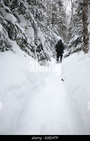 Hikers snowshoeing on the Hancock Notch Trail during the winter months ...