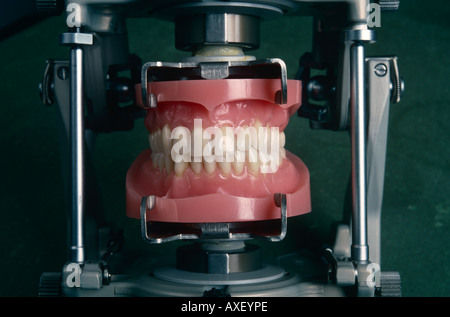 Acrylic teeth samples displayed at Ivoclar in Schaan, Liechtenstein who ...