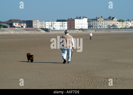 Dog walking in the broad walk in a public park Stock Photo - Alamy