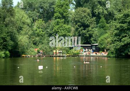 Swimmers at the Mixed Bathing Pond on Hampstead Heath London Stock ...