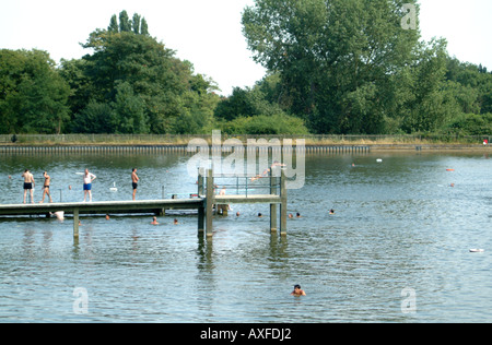 Mixed Bathing Pond on Hampstead Heath London Stock Photo - Alamy