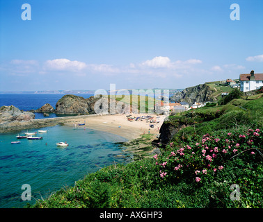 Hope Cove Inner beach and Harbour, Hope, Devon, England, United Kingdom ...