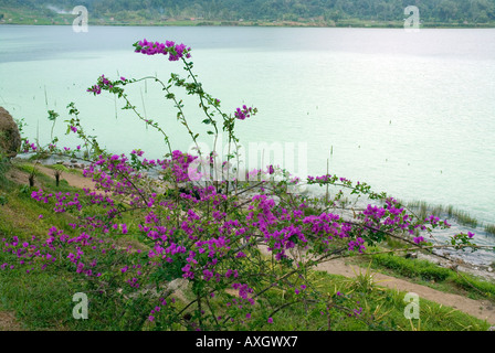 Volcanic sulphorous Lake Linow Minahasa Highlands Sulawesi Utara North ...