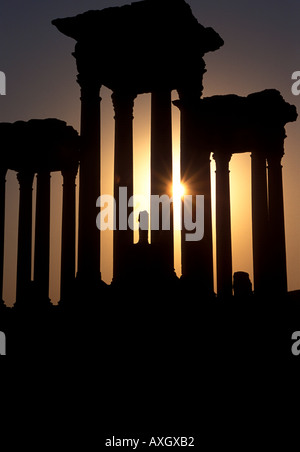 Palmyra - Sunset Stock Photo - Alamy