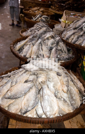 Stock photograph of salted fish at Hsipaw market in Myanmar 2006 Stock ...