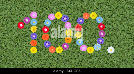 numbers written with flower heads 100th Stock Photo - Alamy