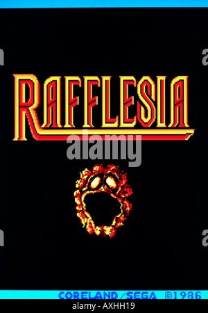 Rafflesia Coreland Sega 1986 Vintage arcade videogame screen shot ...