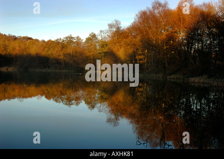 Soft evening reflections of autumn colors in a mountain stream Stock ...