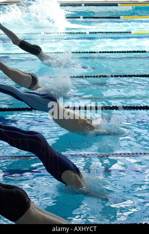Swimming Races Moana Pool Dunedin South Island New Zealand Stock Photo ...