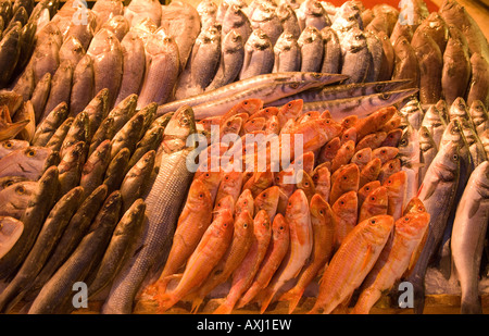 Fish market on road to Tajura Tripoli Libya Stock Photo - Alamy