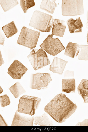 salt crystals in microscope Stock Photo - Alamy