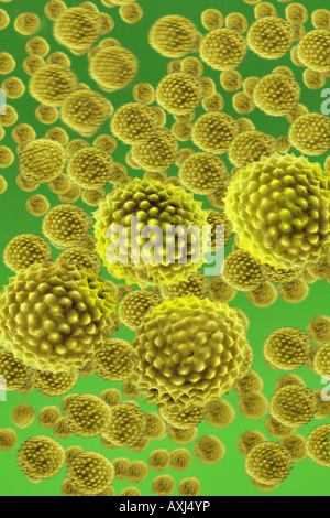 scanning electron micrograph of pollen grain Stock Photo: 7138784 - Alamy