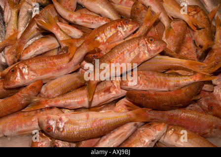 Fish market on road to Tajura Tripoli Libya Stock Photo - Alamy