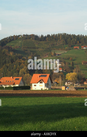 Austrian houses in front of a hillside vineyard Stock Photo - Alamy
