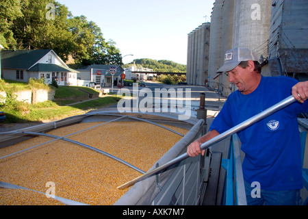 A worker sampling corn for moisture content at a grain elevator in ...