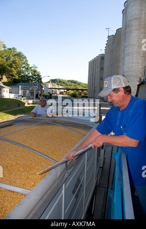 A worker sampling corn for moisture content at a grain elevator in ...